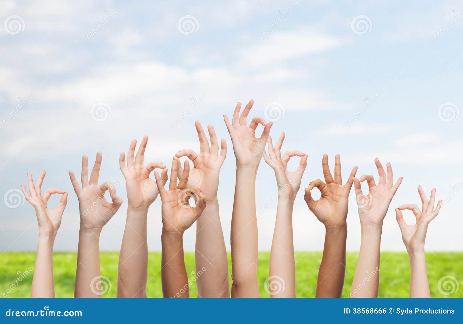 Mani Umane Che Mostrano Segno Giusto Fotografia Stock - Immagine di ...