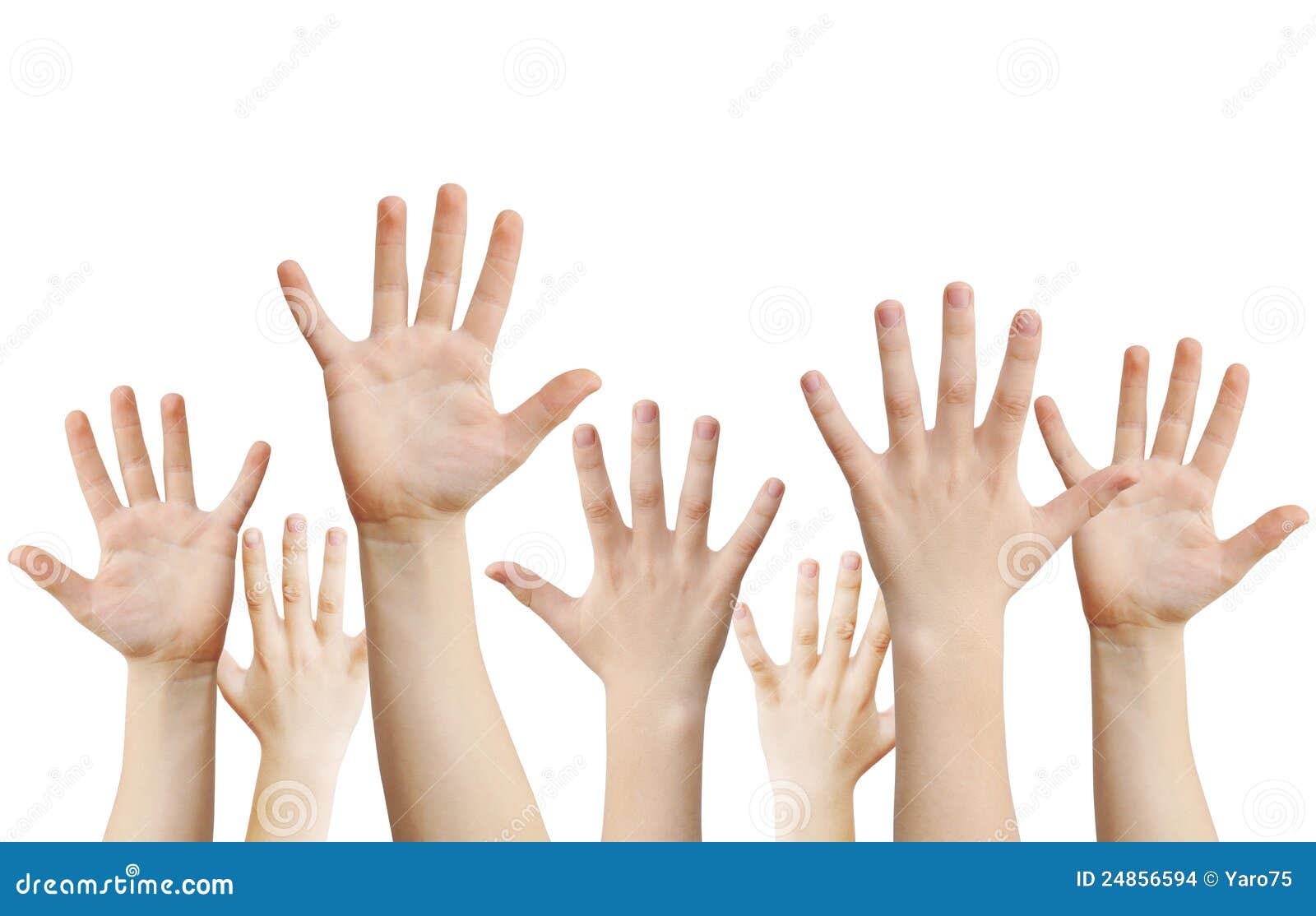 Mani umane sollevate in su fotografia stock. Immagine di isolato - 24856594