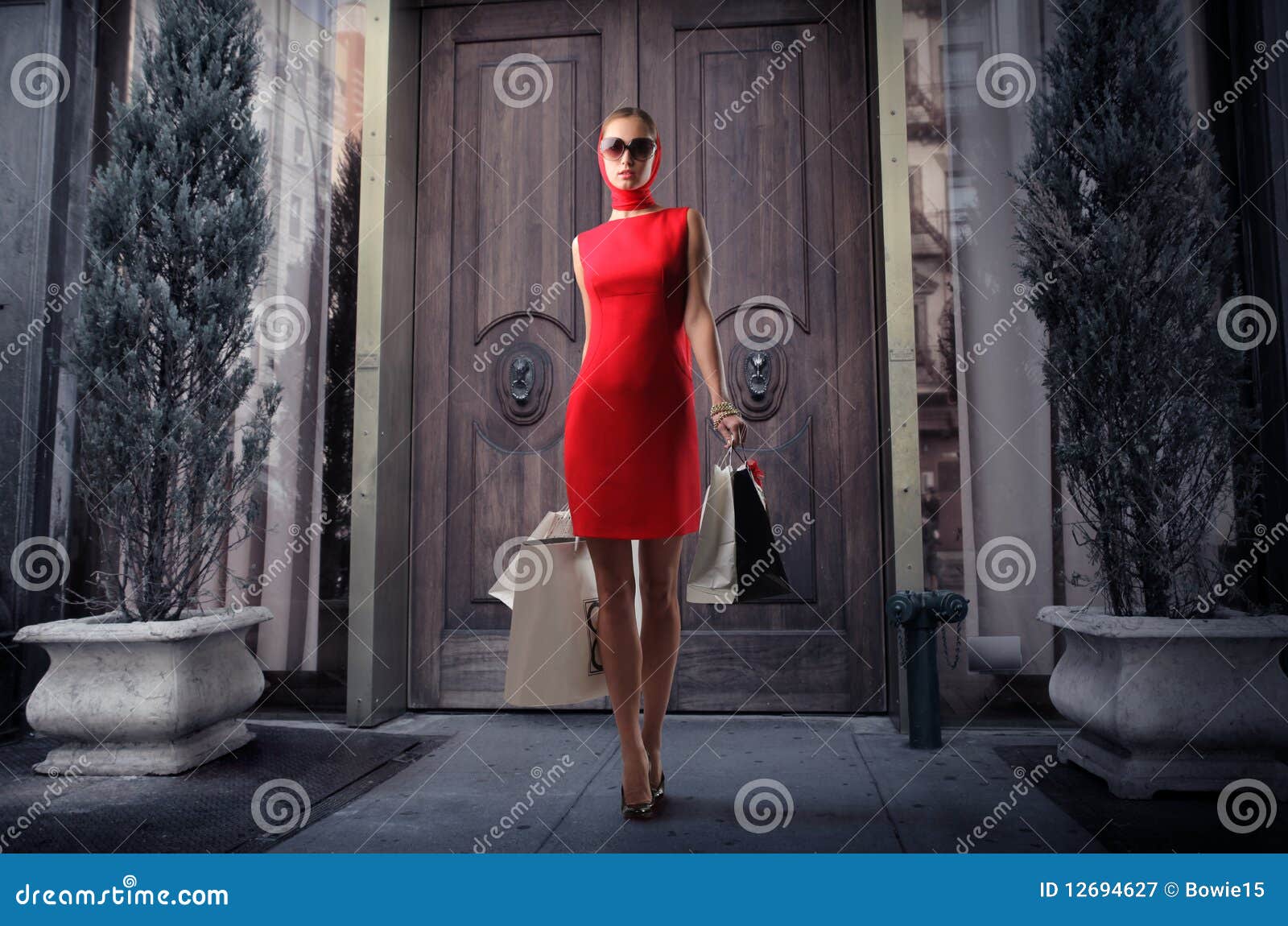 Mania da compra imagem de stock. Imagem de compra, saco - 12694627