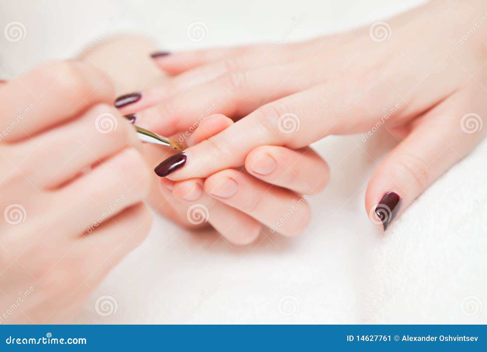 Manicure stock image. Image of care, salon, closeup, beautician - 14627761