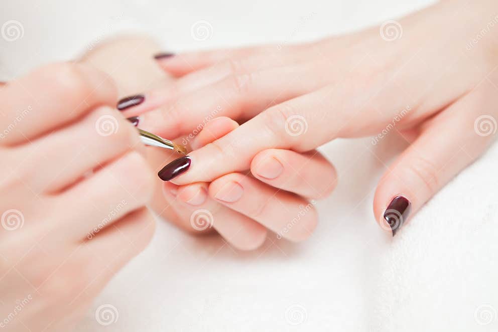Manicure stock image. Image of care, salon, closeup, beautician - 14627761