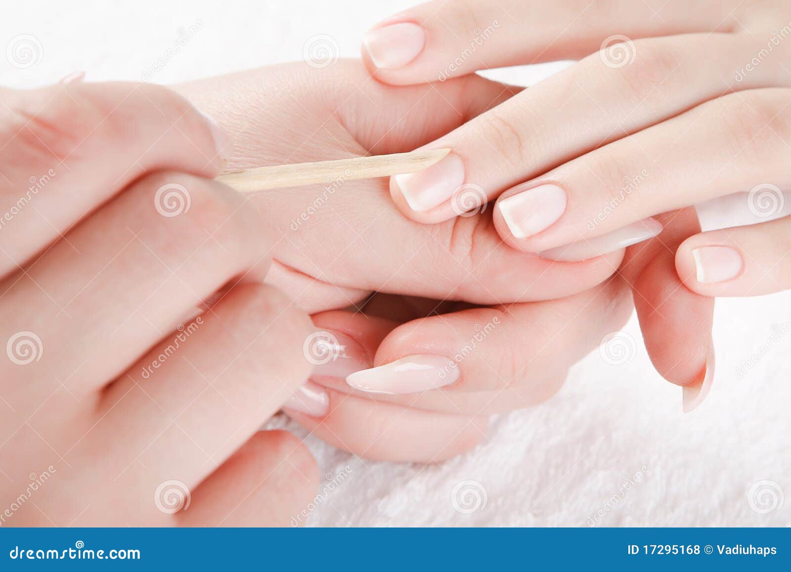 Manicure stock photo. Image of skin, hand, beauty, female - 17295168