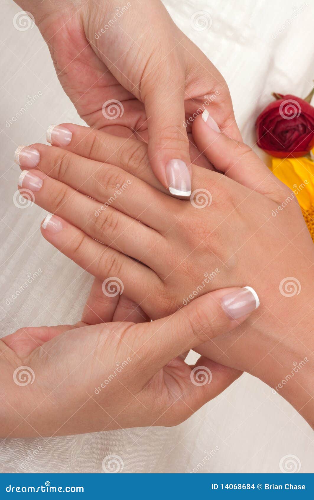 Manicure and Massage stock photo. Image of relaxation - 14068684