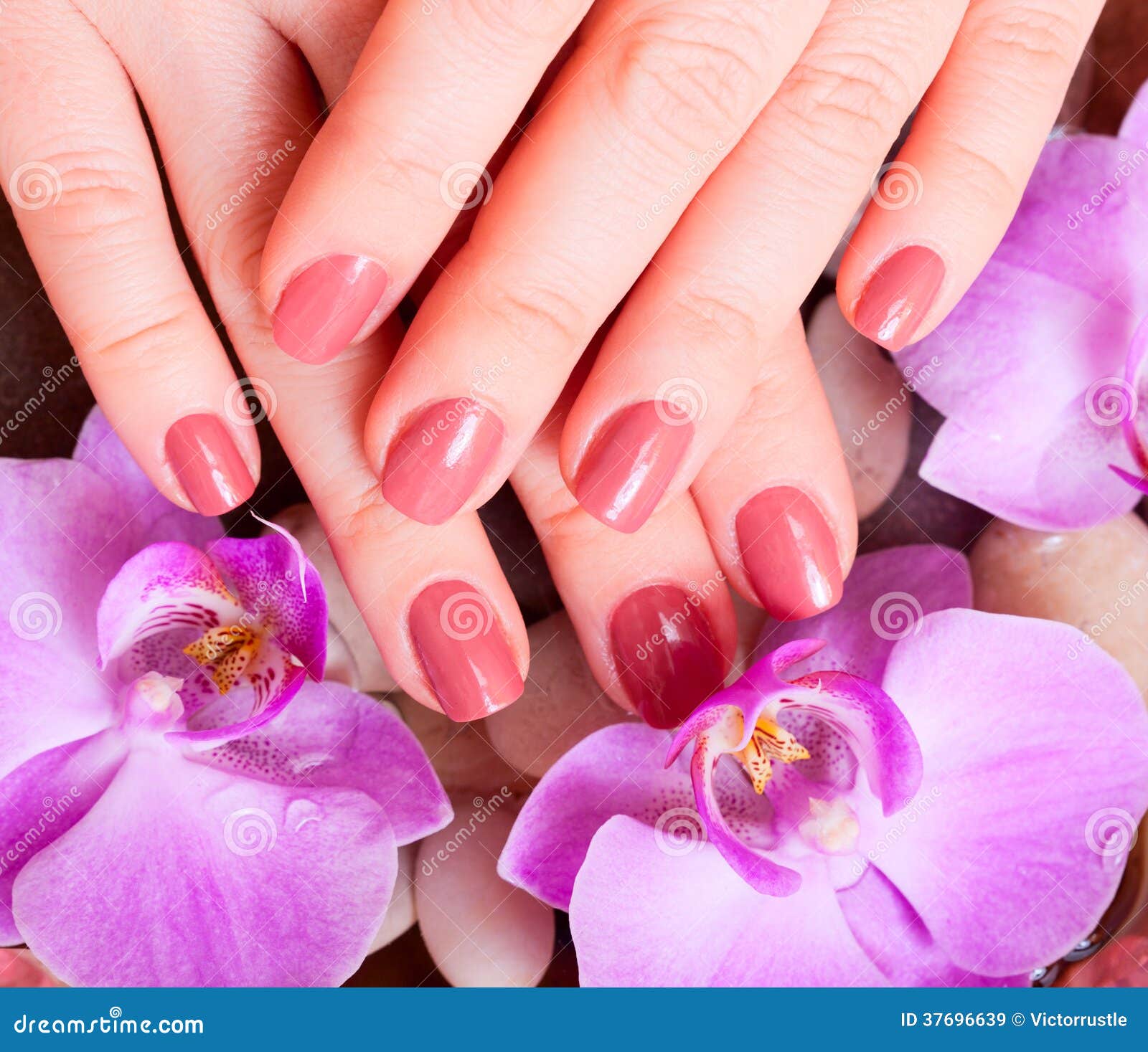 Manicure and pedicure stock image. Image of aromatherapy - 37696639