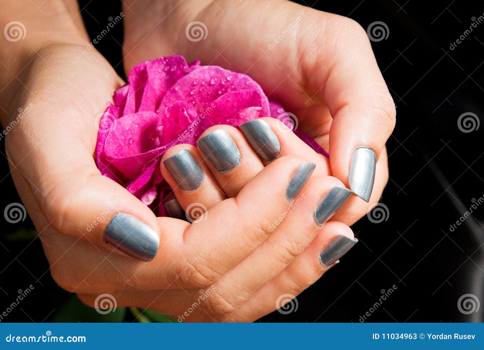 Manicure with rose stock image. Image of hand, health - 11034963