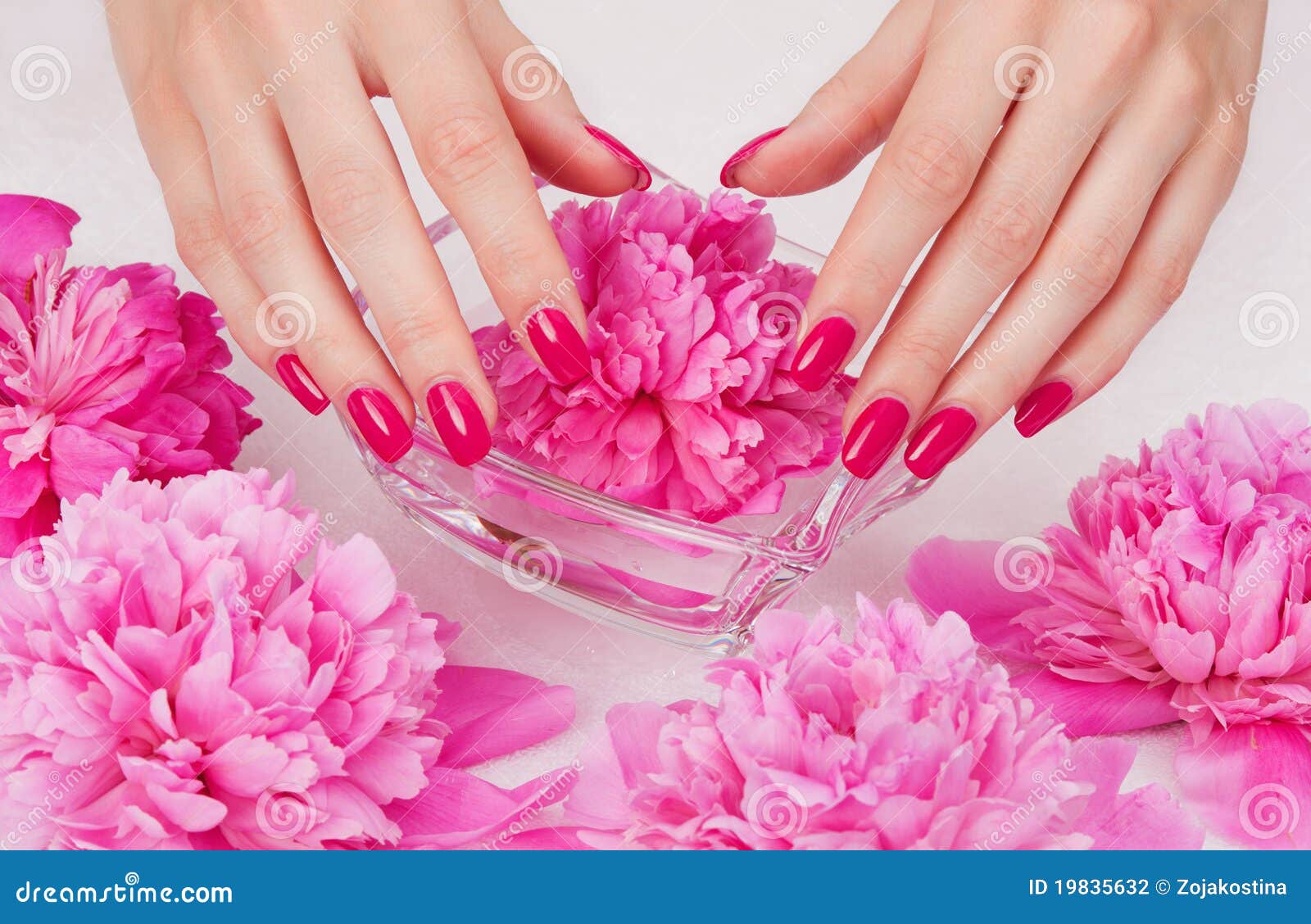 Manicure Spa Pampering with Pink Flower Stock Photo - Image of care ...