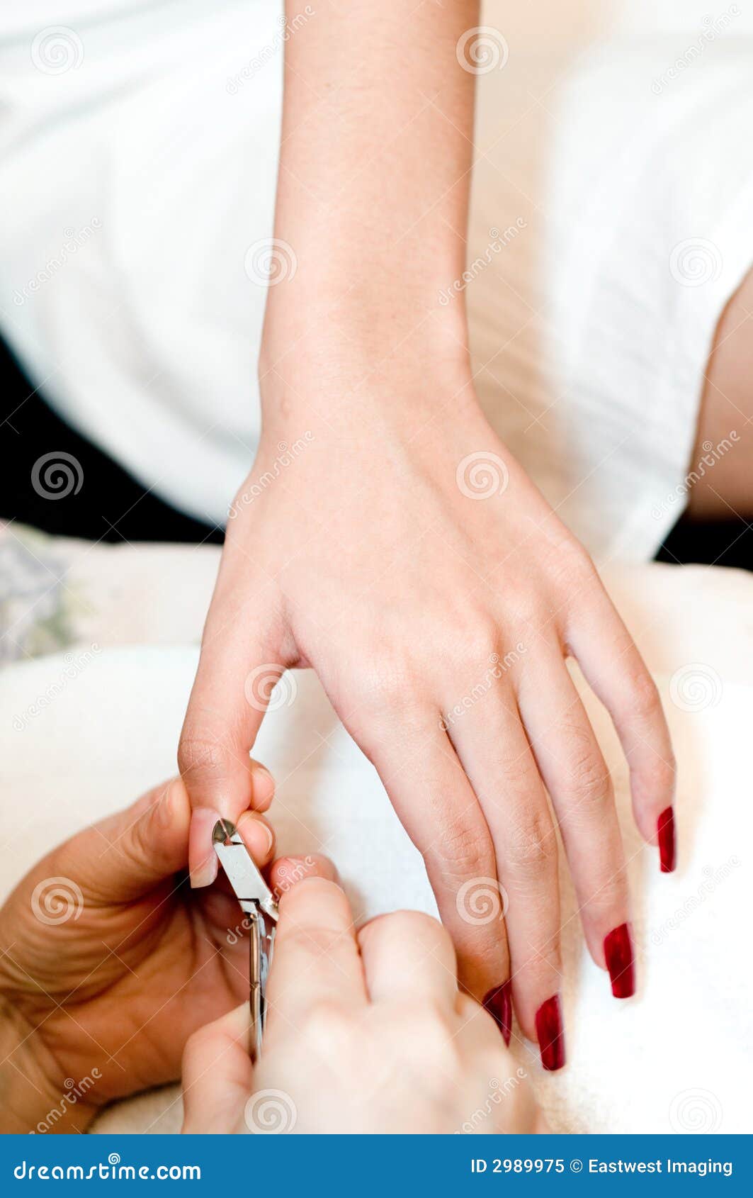 Manicured stock image. Image of treatment, beauty, treat - 2989975