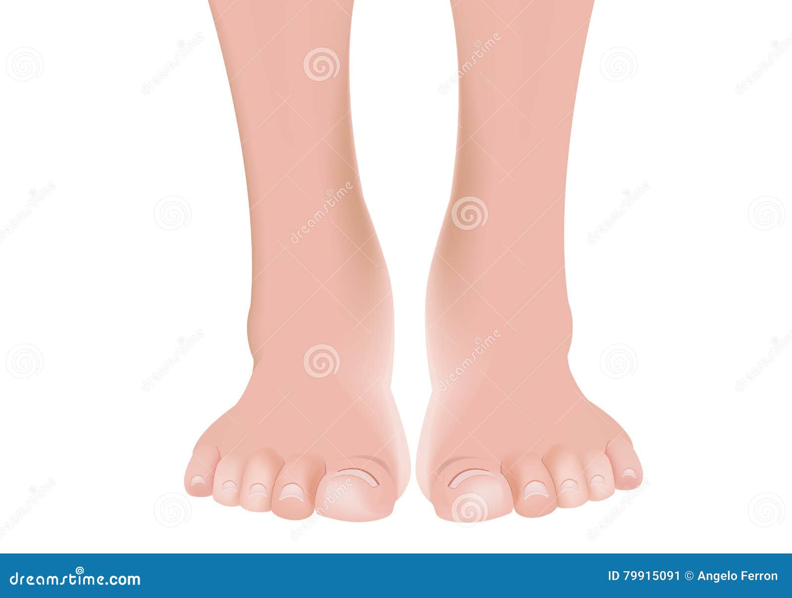 Manicured bare human foot stock vector. Illustration of health - 79915091