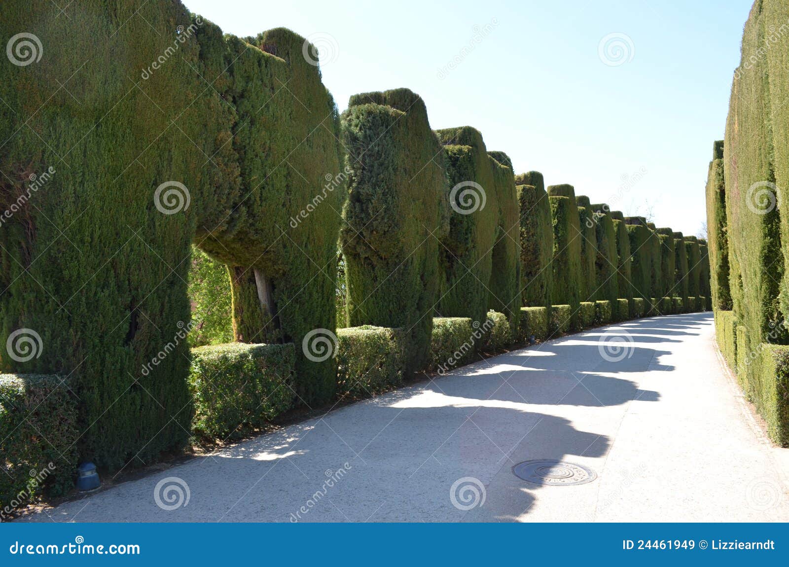 Manicured bushes stock image. Image of bushes, alhambra - 24461949