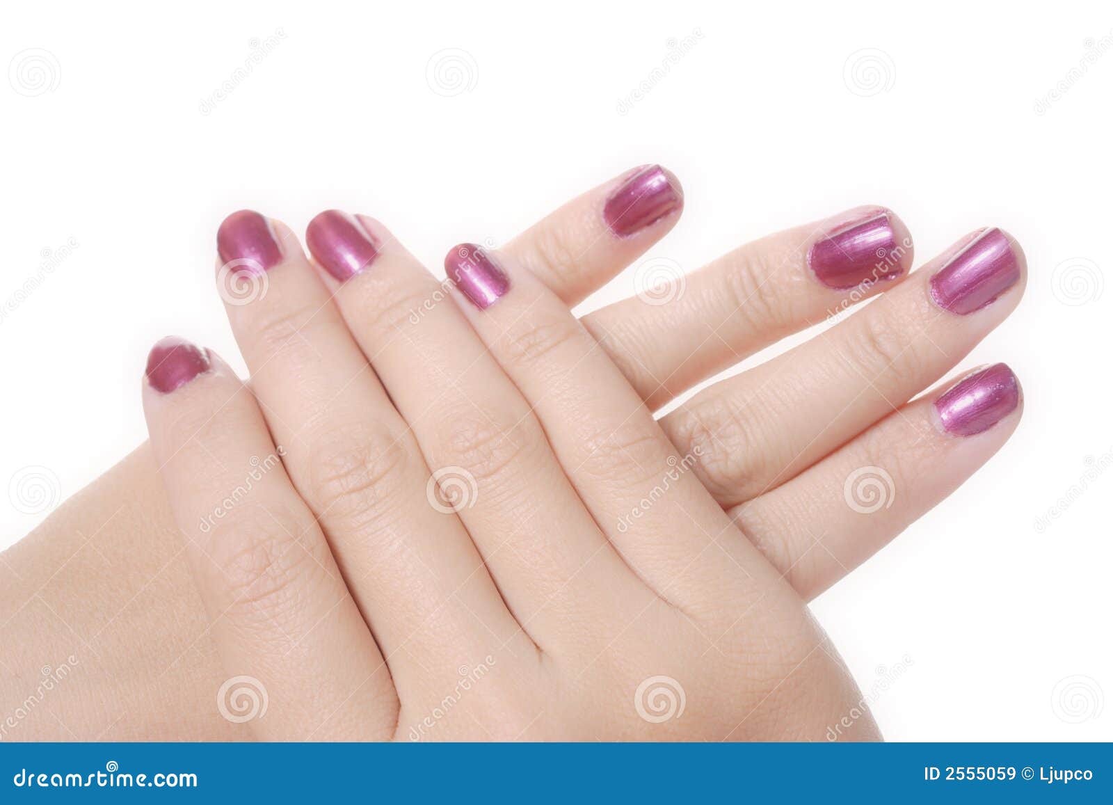 Manicured female hands stock image. Image of finger, healthy - 2555059
