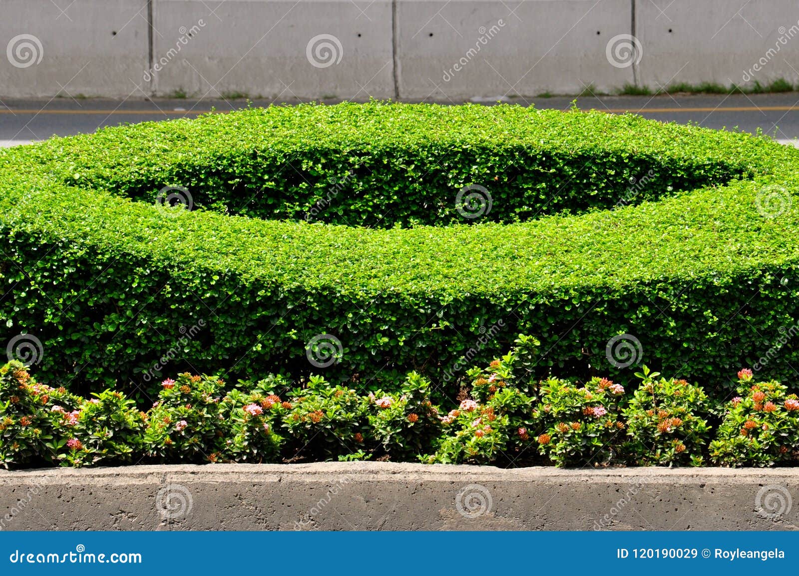 Manicured Hedges in Wave Shape Stock Image - Image of double, border ...