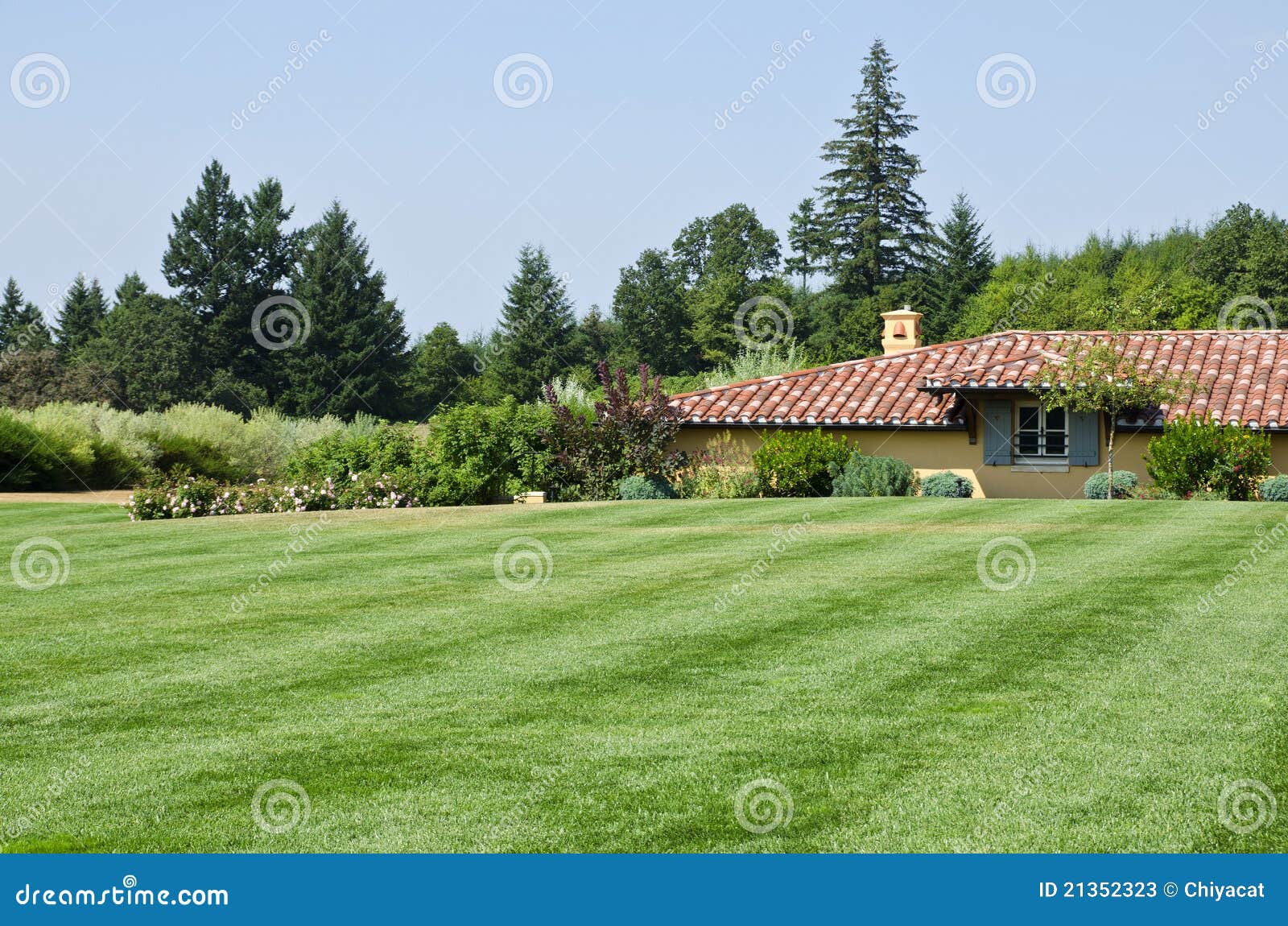 Manicured Lawn in a Garden stock image. Image of garden - 21352323