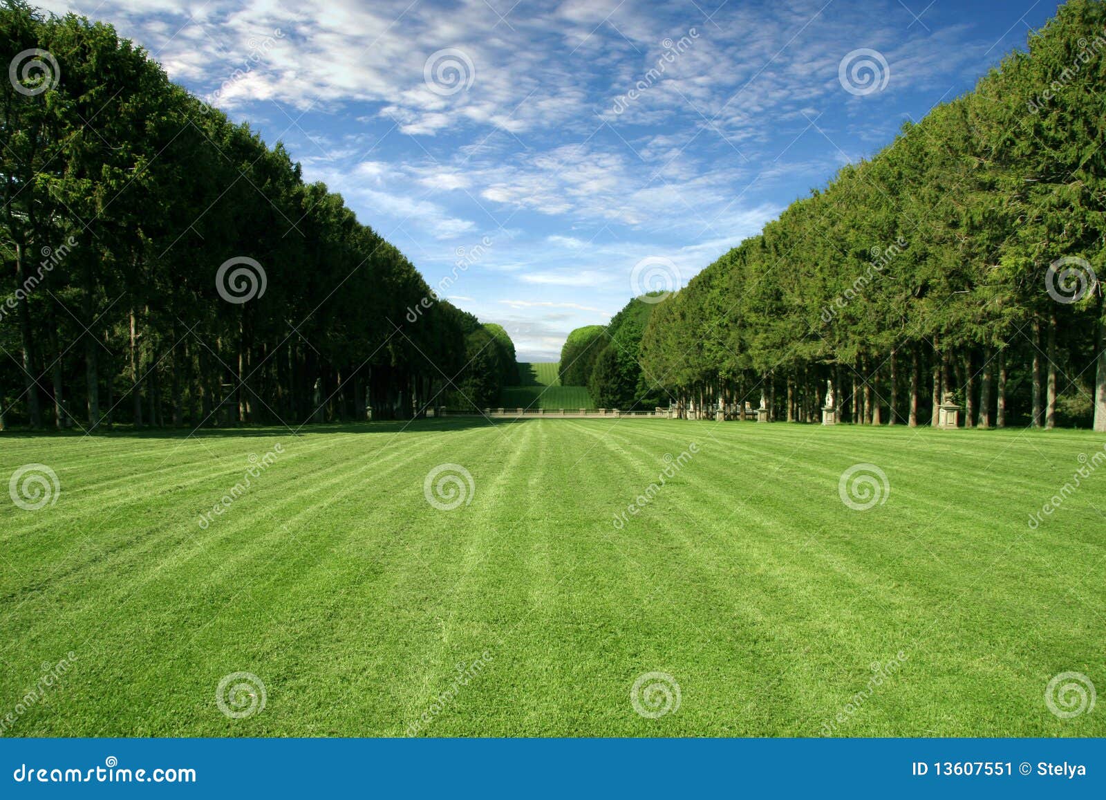 Manicured Lawn - Large Green Field Stock Image - Image of field, nature ...