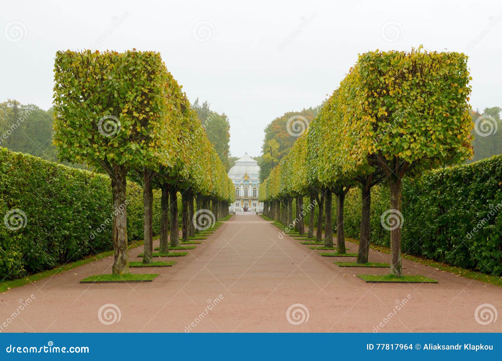 Manicured Trees in the Park. Stock Photo - Image of wood, sand: 77817964