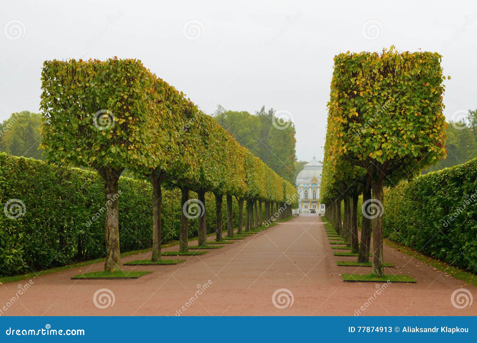 Manicured Trees in the Park. Stock Image - Image of lawn, sand: 77874913