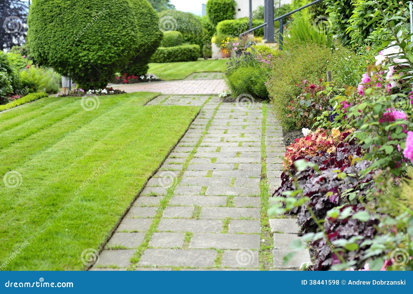 Manicured Yard stock photo. Image of annuals, coiffed - 38441598