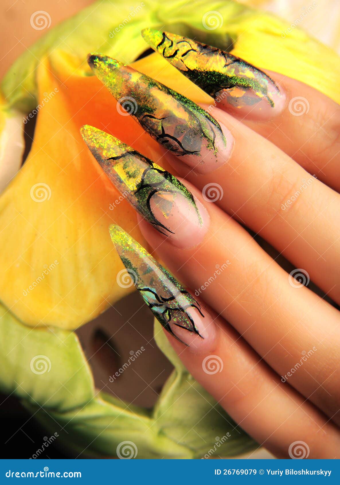 Manicures stock image. Image of drawing, manicure, flower - 26769079