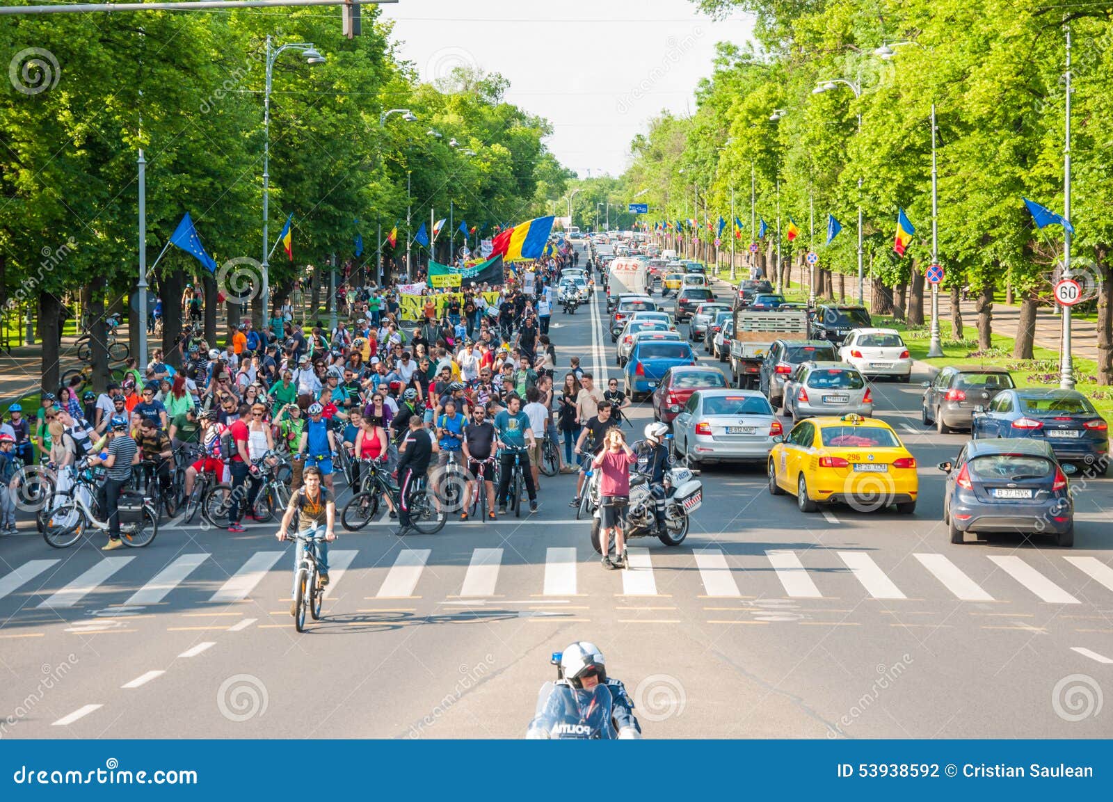 Manifesto Against Abusive Deforestation Editorial Photography - Image ...