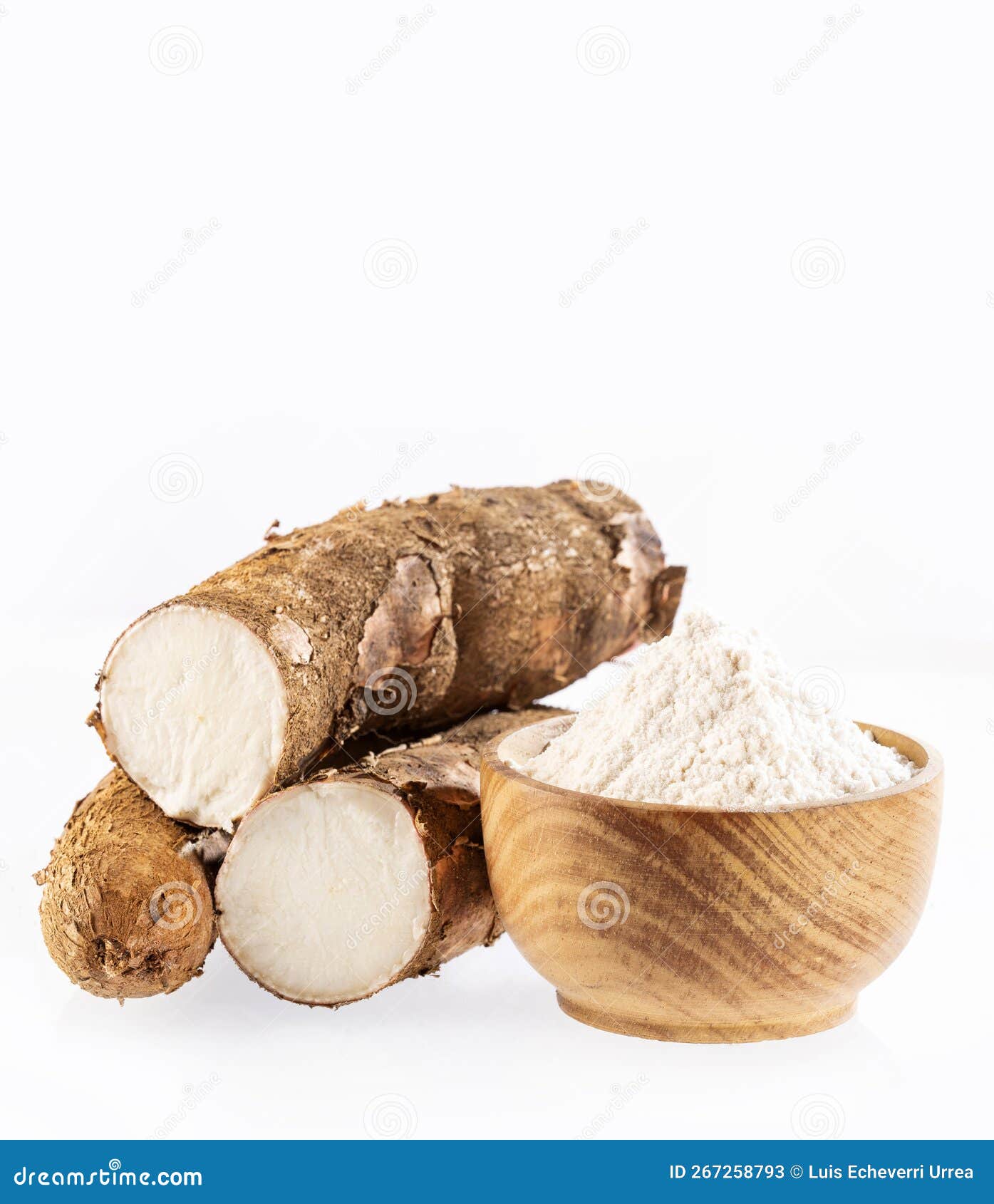 Row Of Organic Cassava Farming. Local Thai Farming. Stock Image ...