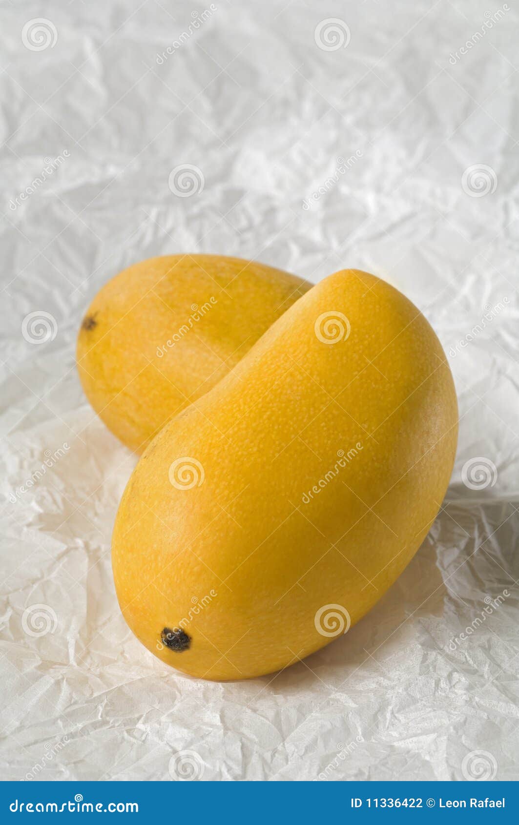 Manila Mangoes stock photo. Image of organic, creased - 11336422