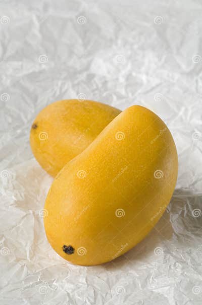 Manila Mangoes stock photo. Image of organic, creased - 11336422
