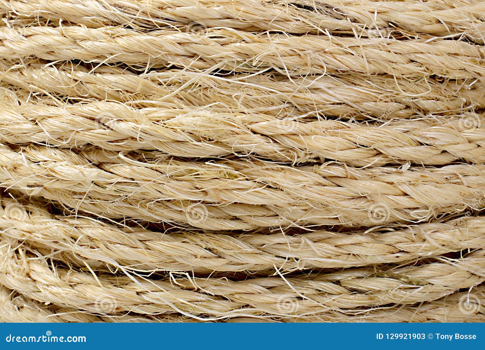 Manila Nautical Rope Coil Stock Photos - Free & Royalty-Free Stock ...