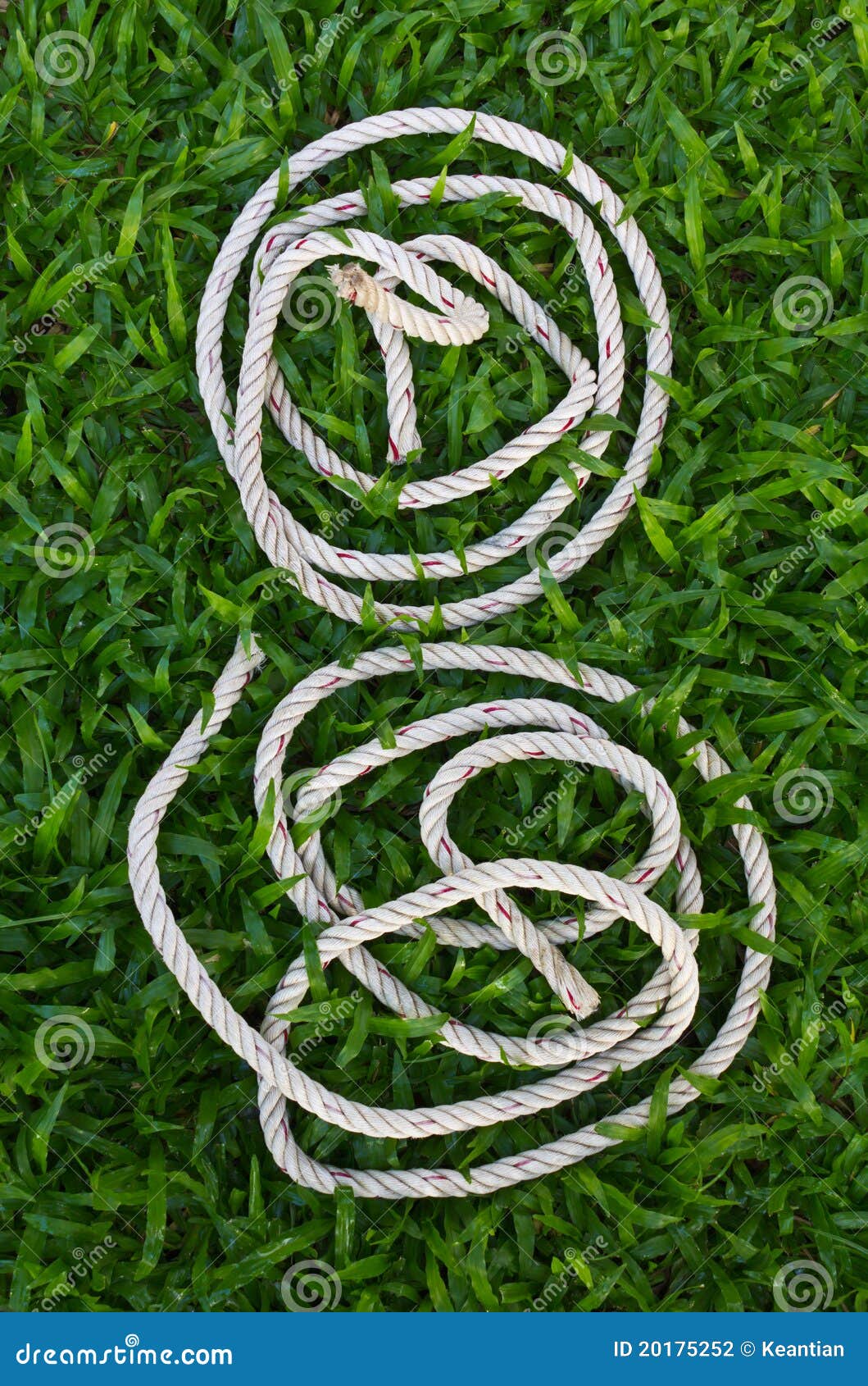 Manila rope coiled. stock photo. Image of decor, colorful - 20175252