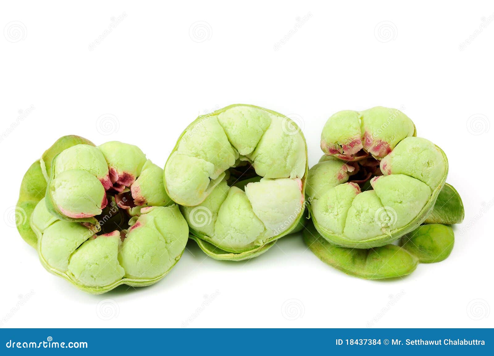 Manila tamarind stock photo. Image of close, dulce, healthy - 18437384