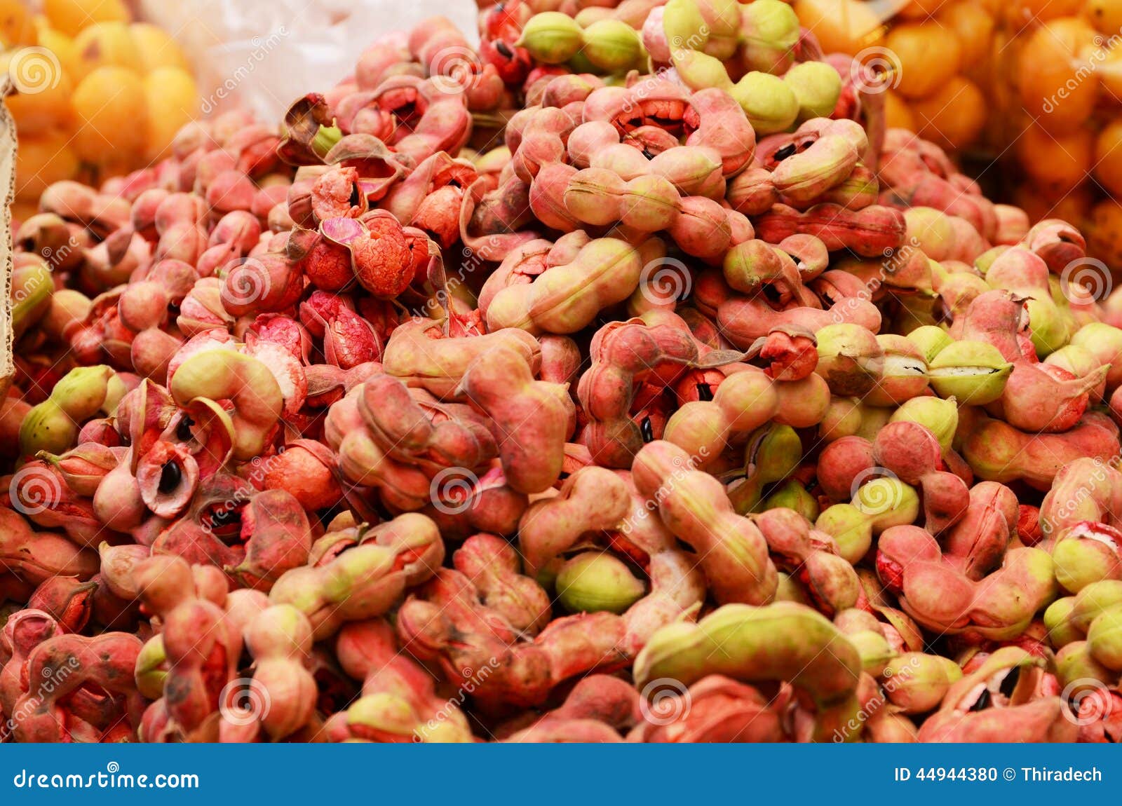 Manila tamarind stock photo. Image of thai, seed, fruit - 44944380