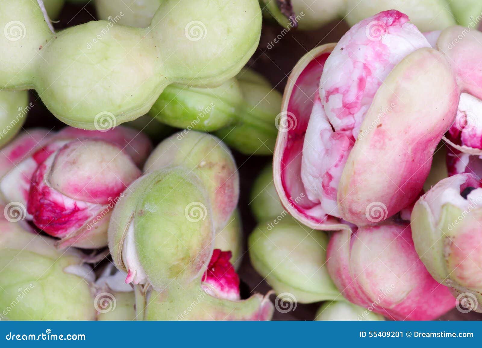 Manila tamarind stock image. Image of delicious, fresh - 55409201