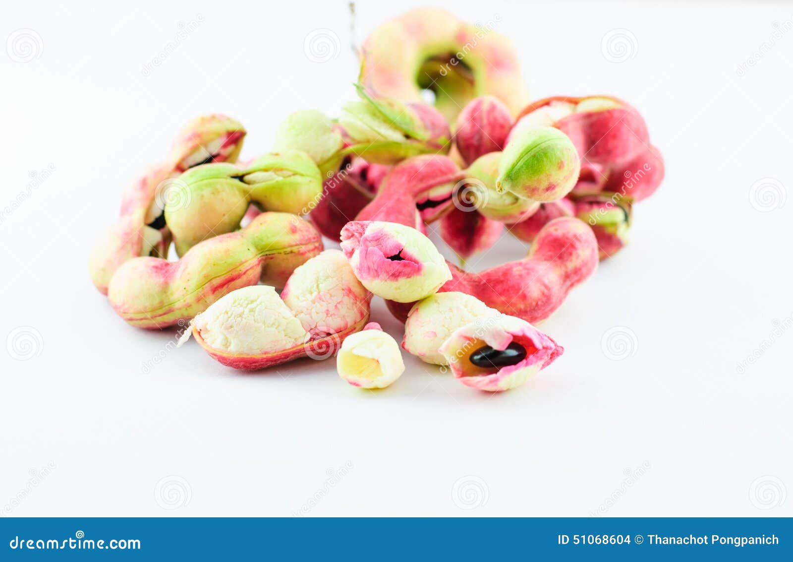 Manila tamarind fruit stock photo. Image of sweet, native - 51068604