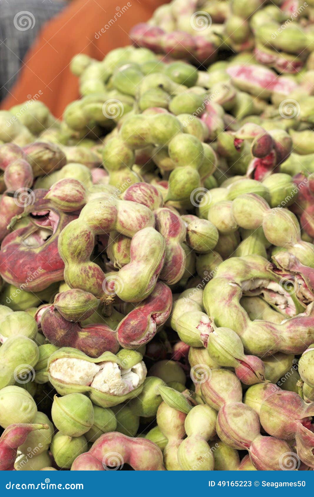 Manila tamarind stock image. Image of tasty, natural - 49165223