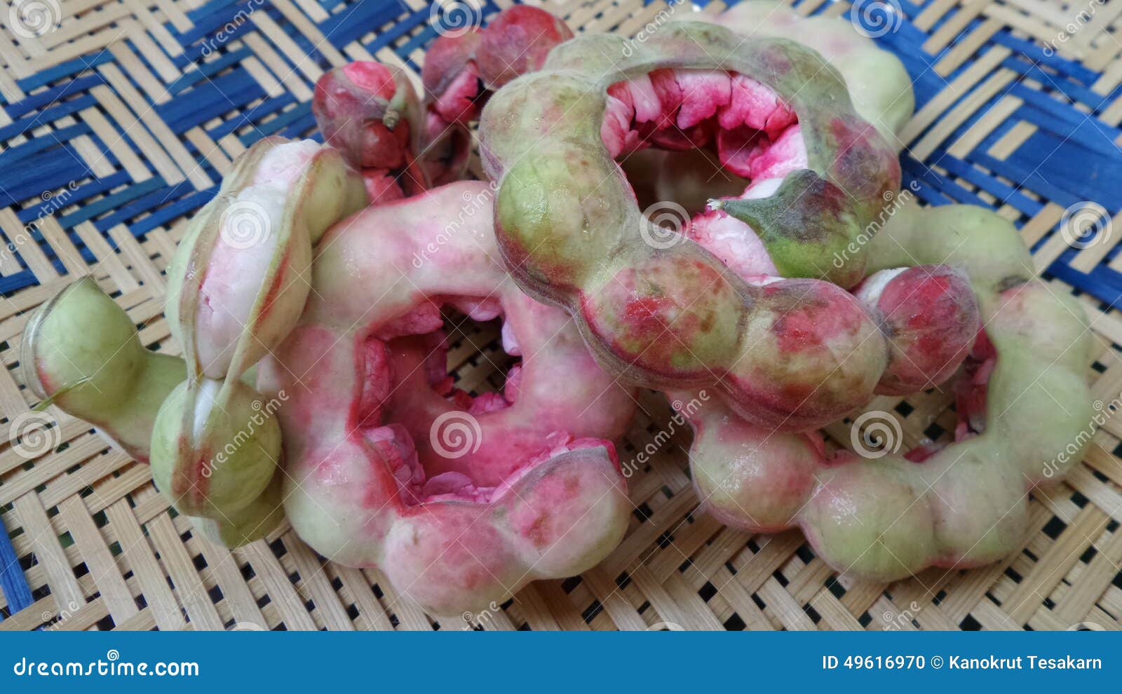 Manila tamarind stock photo. Image of musky, nutrition - 49616970