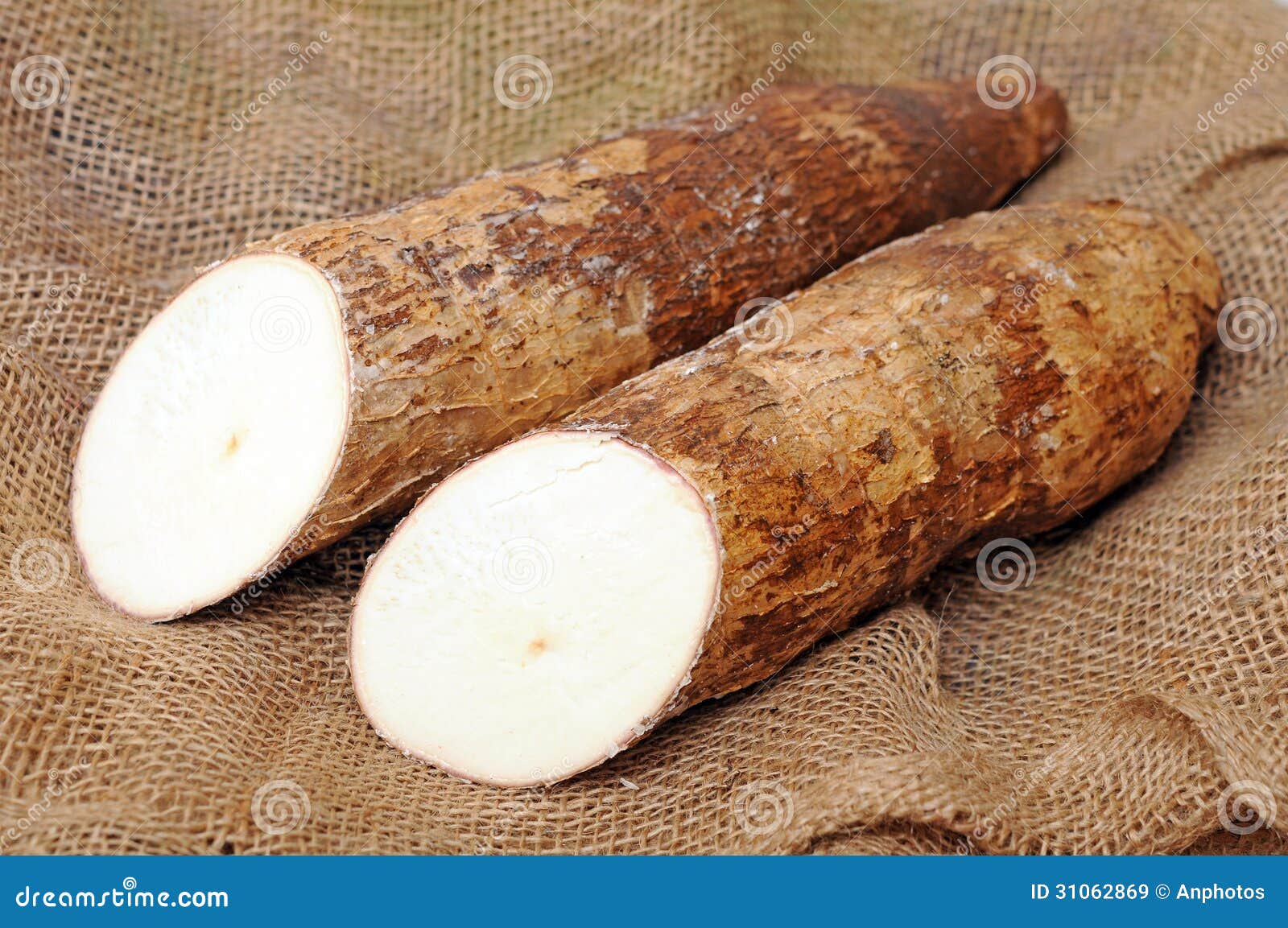 Manioc stock image. Image of studio, brown, brazilian - 31062869