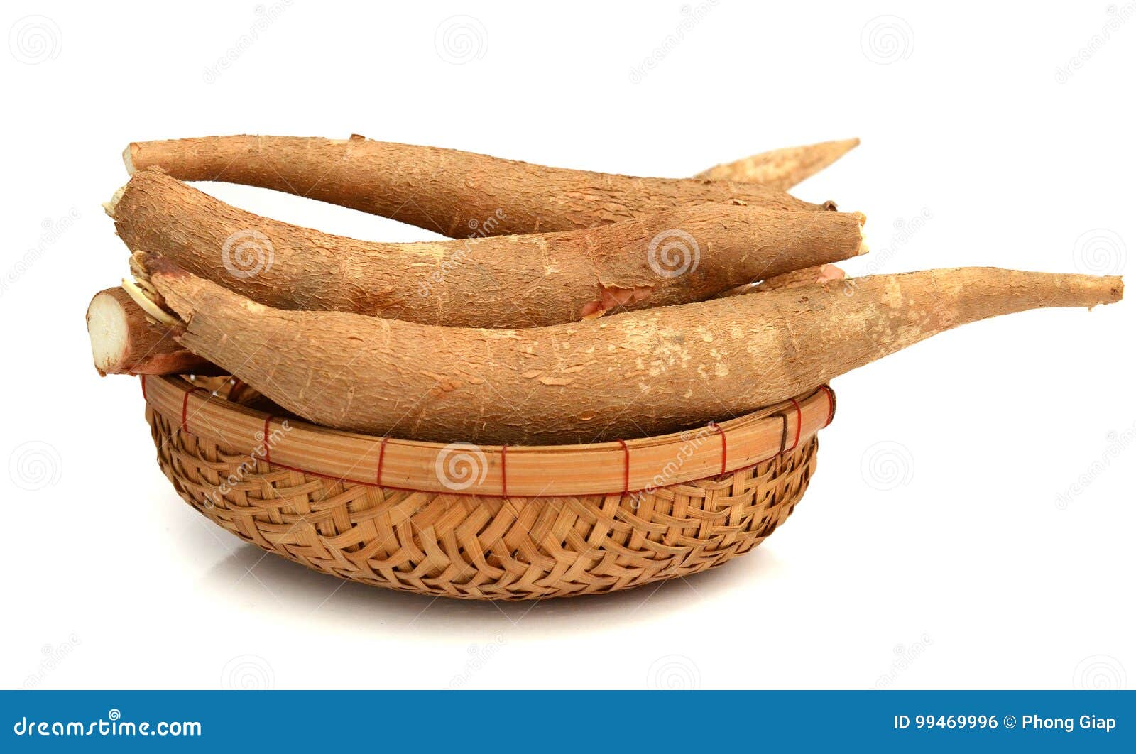 Manioc stock photo. Image of matter, protein, high, white - 99469996