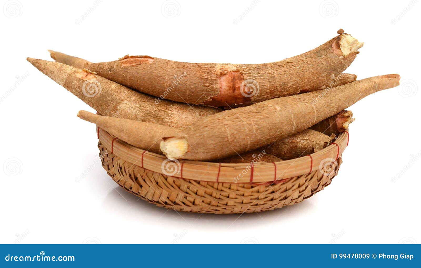 Manioc stock image. Image of fiber, starch, protein, matter - 99470009