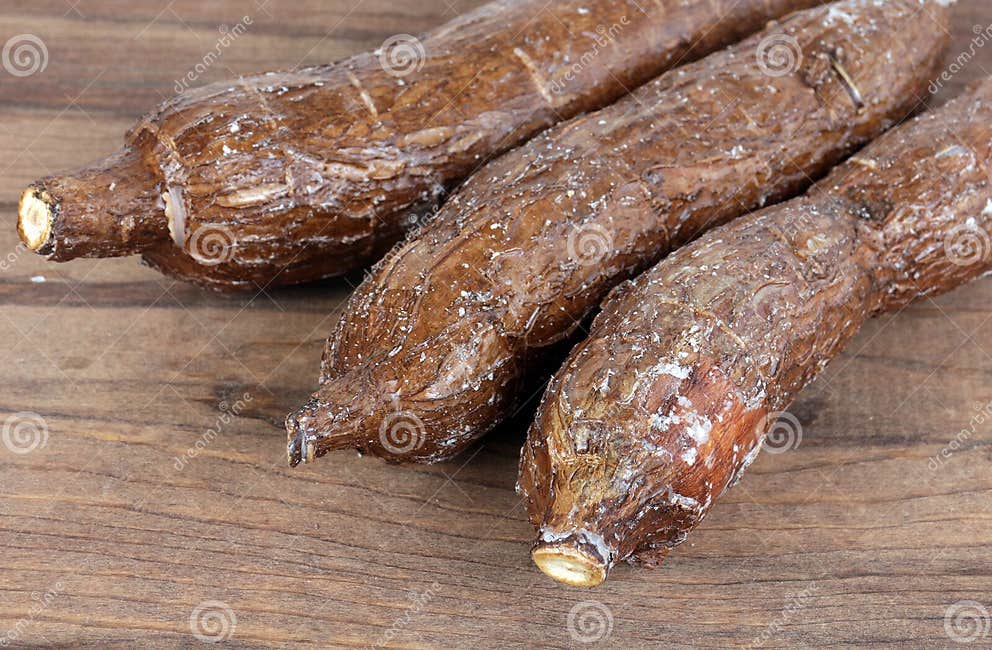 Manioc root stock image. Image of casava, tropical, macro - 77666825