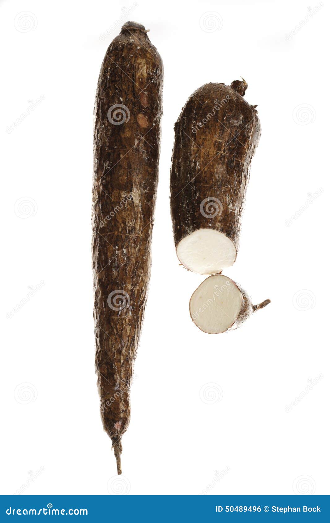 Manioc roots, close-up stock photo. Image of tapered - 50489496