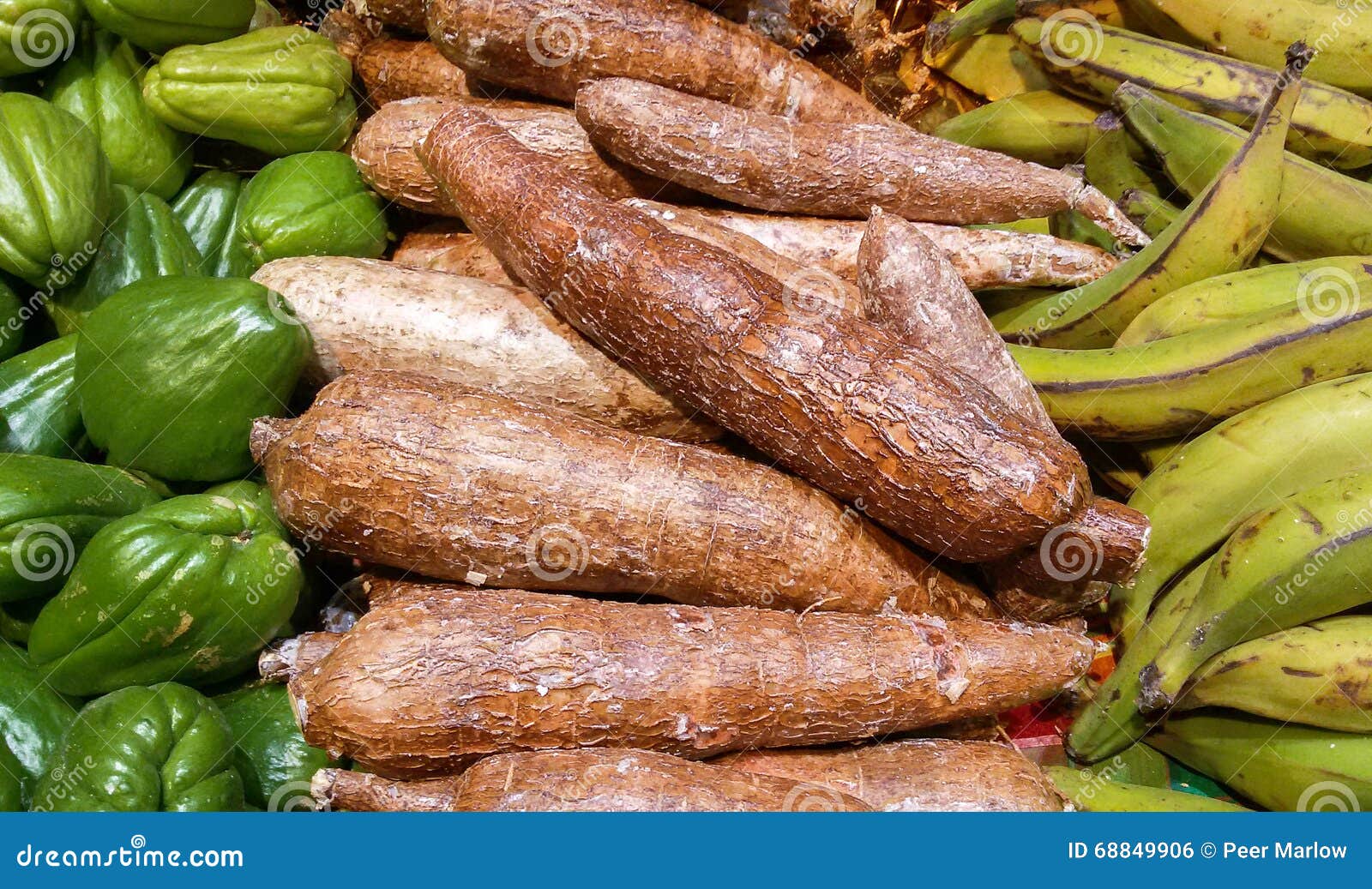 Maniok Cassava on Market Table Stock Photo - Image of exotic, cooking ...