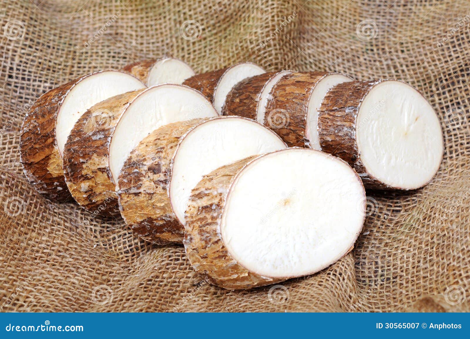 Maniok (maniok) stock afbeelding. Image of jute, maniok - 30565007