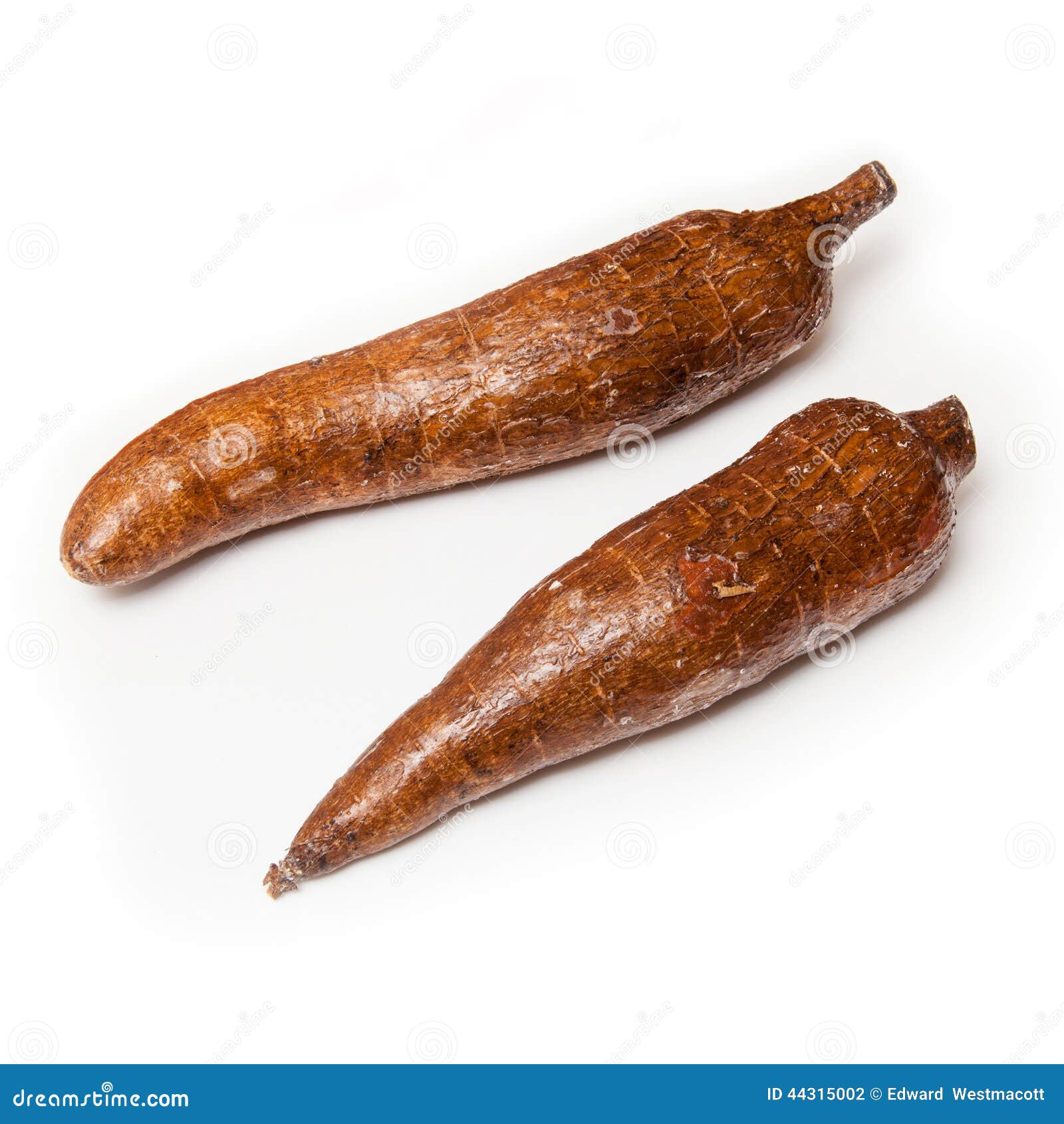 Manioka-oder Manioka-Wurzel, Lokalisiert Stockfoto - Bild von wurzel ...