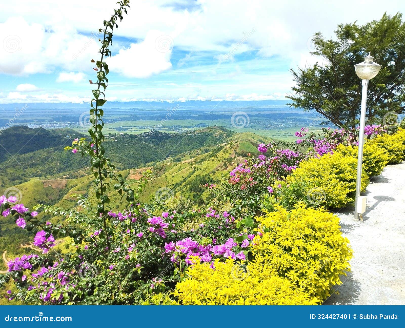 Manipur Top View Flower and Mountain Stock Image - Image of mountain ...