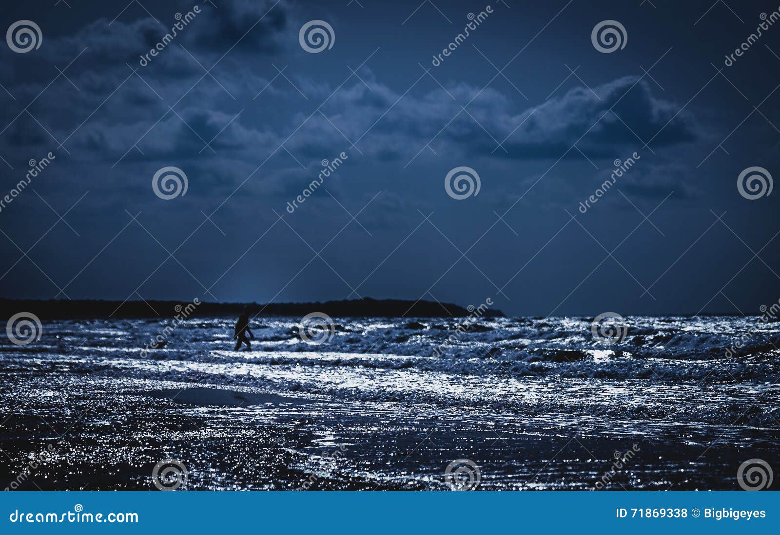Manis Going To Swimming Under Moonlight Stock Photo - Image of beauty ...