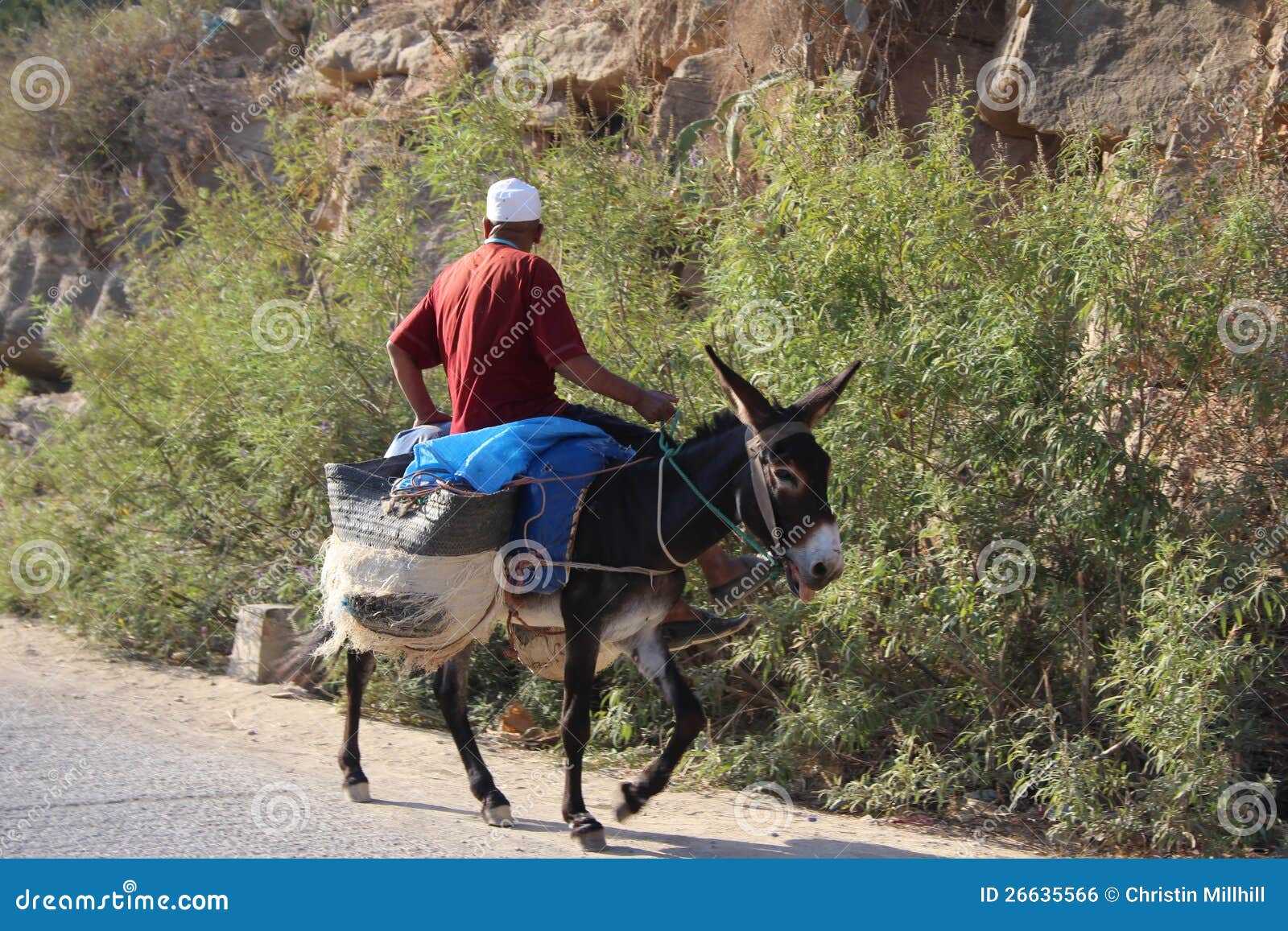 Mann auf Esel redaktionelles foto. Bild von reiten, esel - 26635566