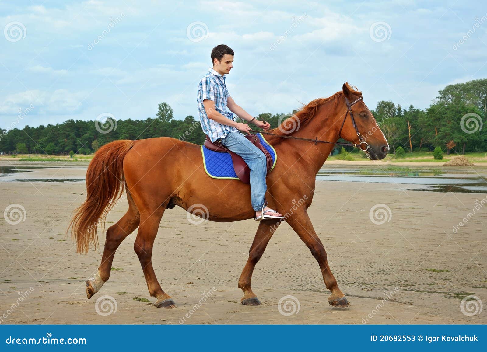 Mann, der ein Pferd reitet stockbild. Bild von fahrt - 20682553