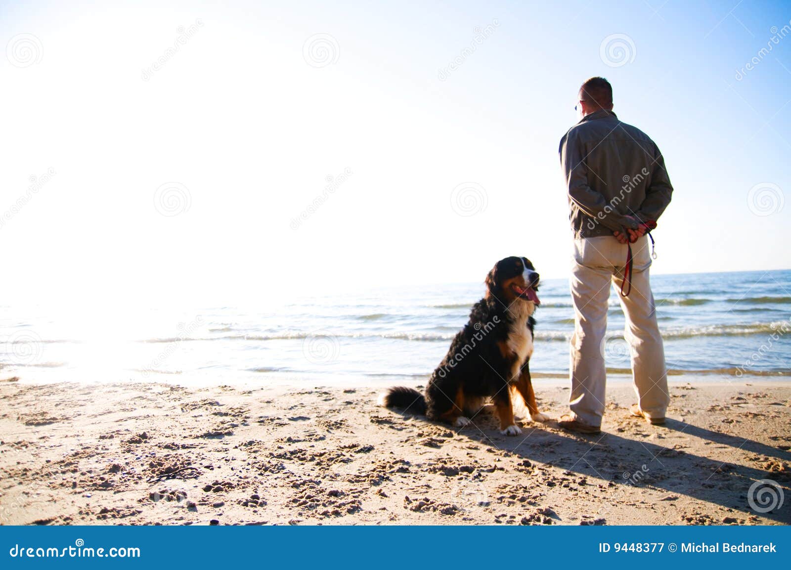 Mann mit einem Hund stockbild. Bild von aktiv, gesund - 9448377
