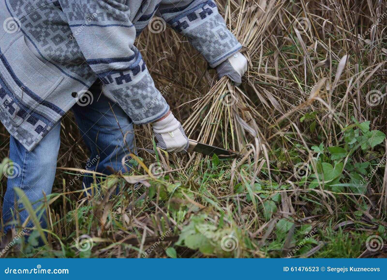 Mann mit einer Machete stockbild. Bild von wald, erwachsener - 61476523