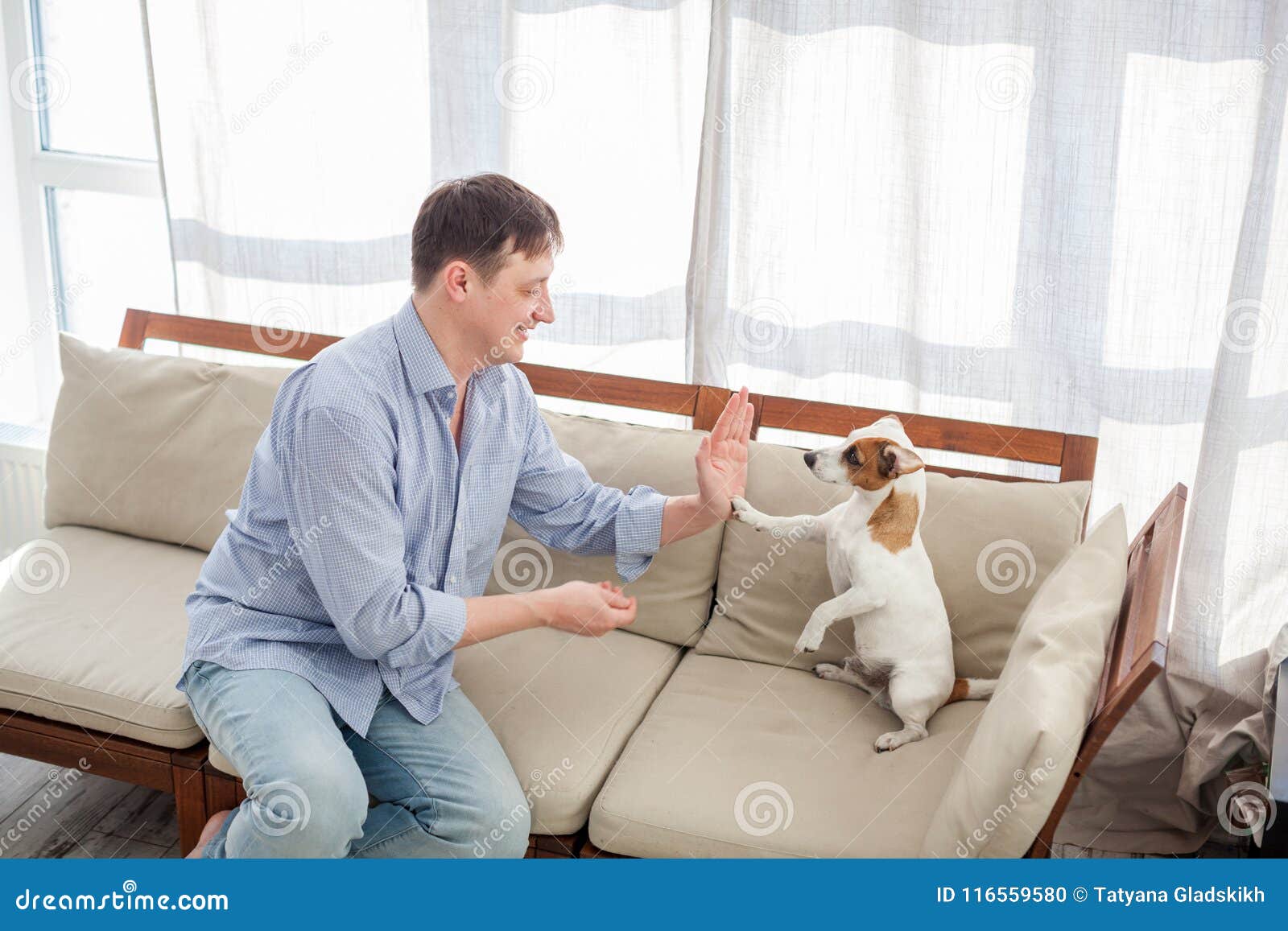 Mann mit Hund zu Hause stockfoto. Bild von leute, freundlich - 116559580