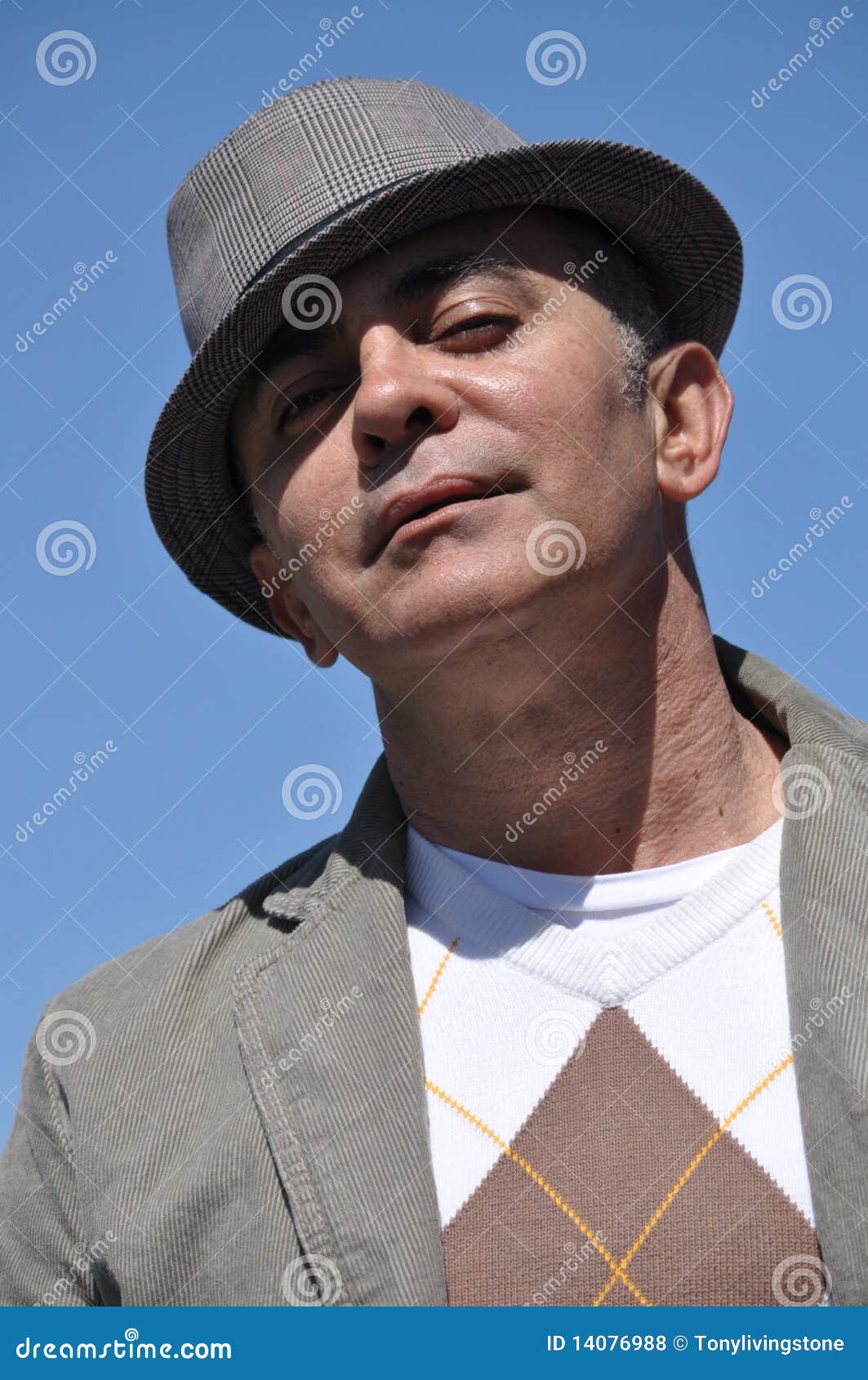 Mann mit Hut stockfoto. Bild von jacke, blick, elegant - 14076988