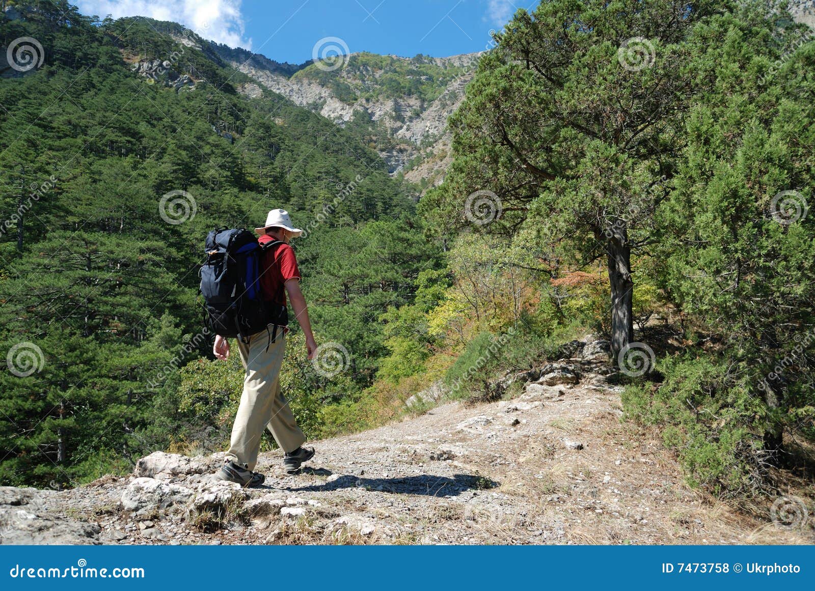 Mann mit Rucksack stockfoto. Bild von wald, athlet, nave - 7473758